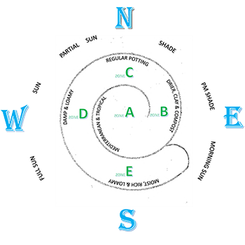 Herb Spiral Garden - Planting Guide